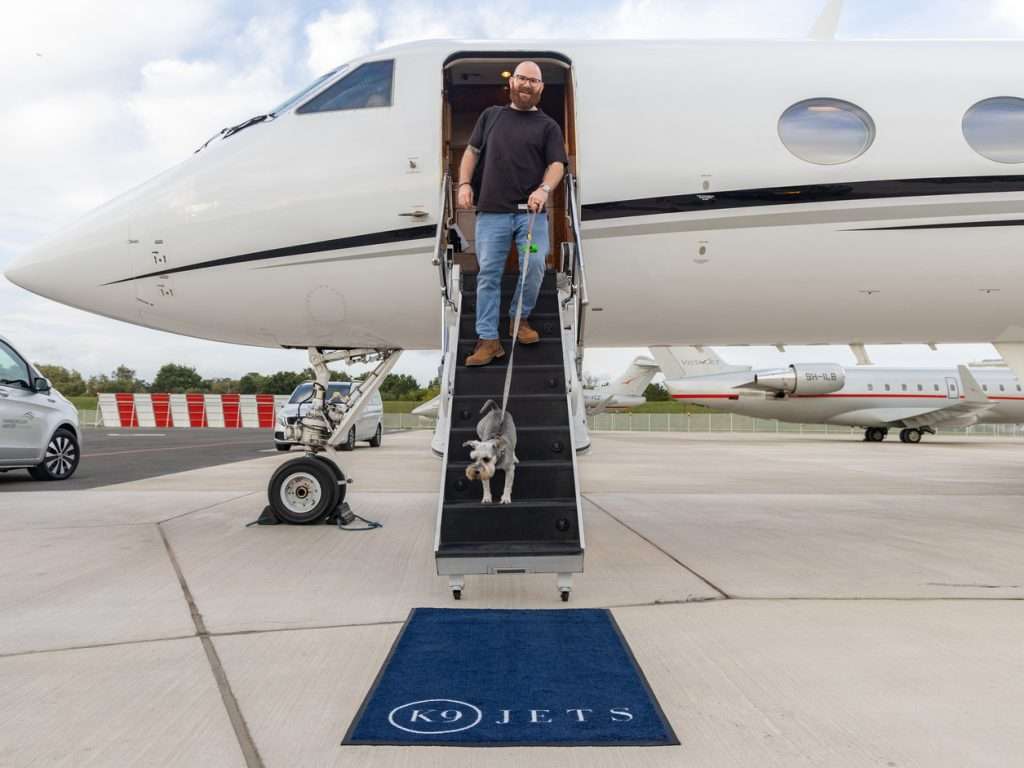 K9 JETS First-Ever Dubai-London Flight For Dogs Takes to The Skies ...